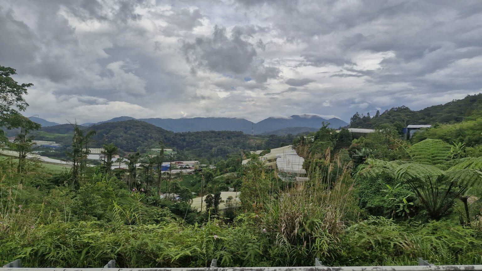 Cameron Highlands - Les visites de Fabienne